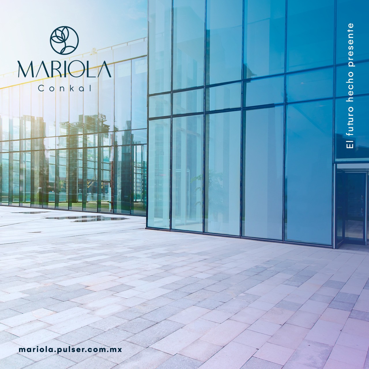 Mariola Grupo Pulser: La Mejor Inversión en Yucatán